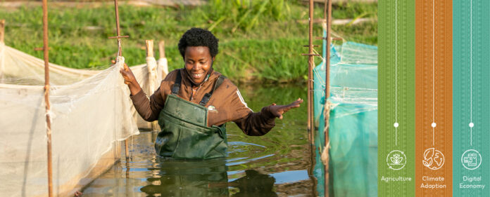 Mastercard Foundation Fund for Resilience and Prosperity - Access Agric