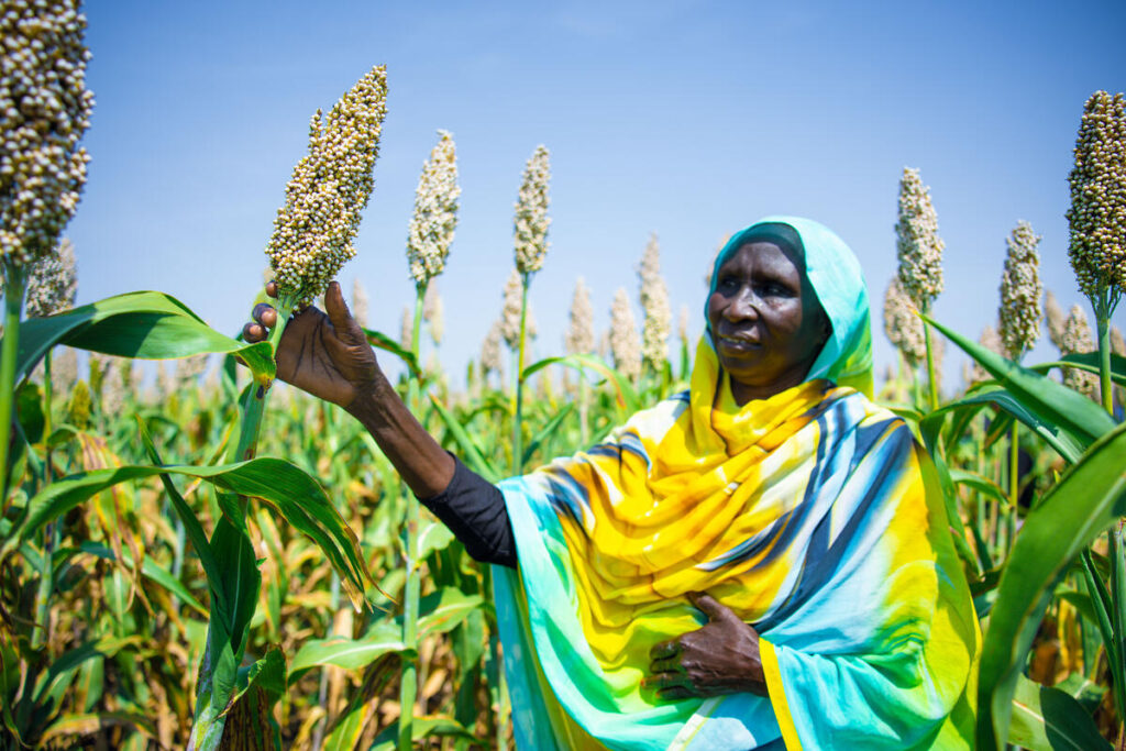 FAO seeks $1.9 billion to provide life-saving, emergency agriculture ...