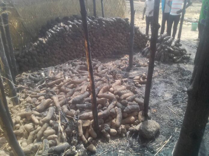 Raging fire destroys thousands of yam - Access Agric