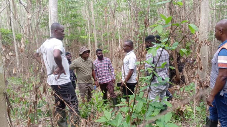Oboyow forest reserve reclaimed for farming - Access Agric