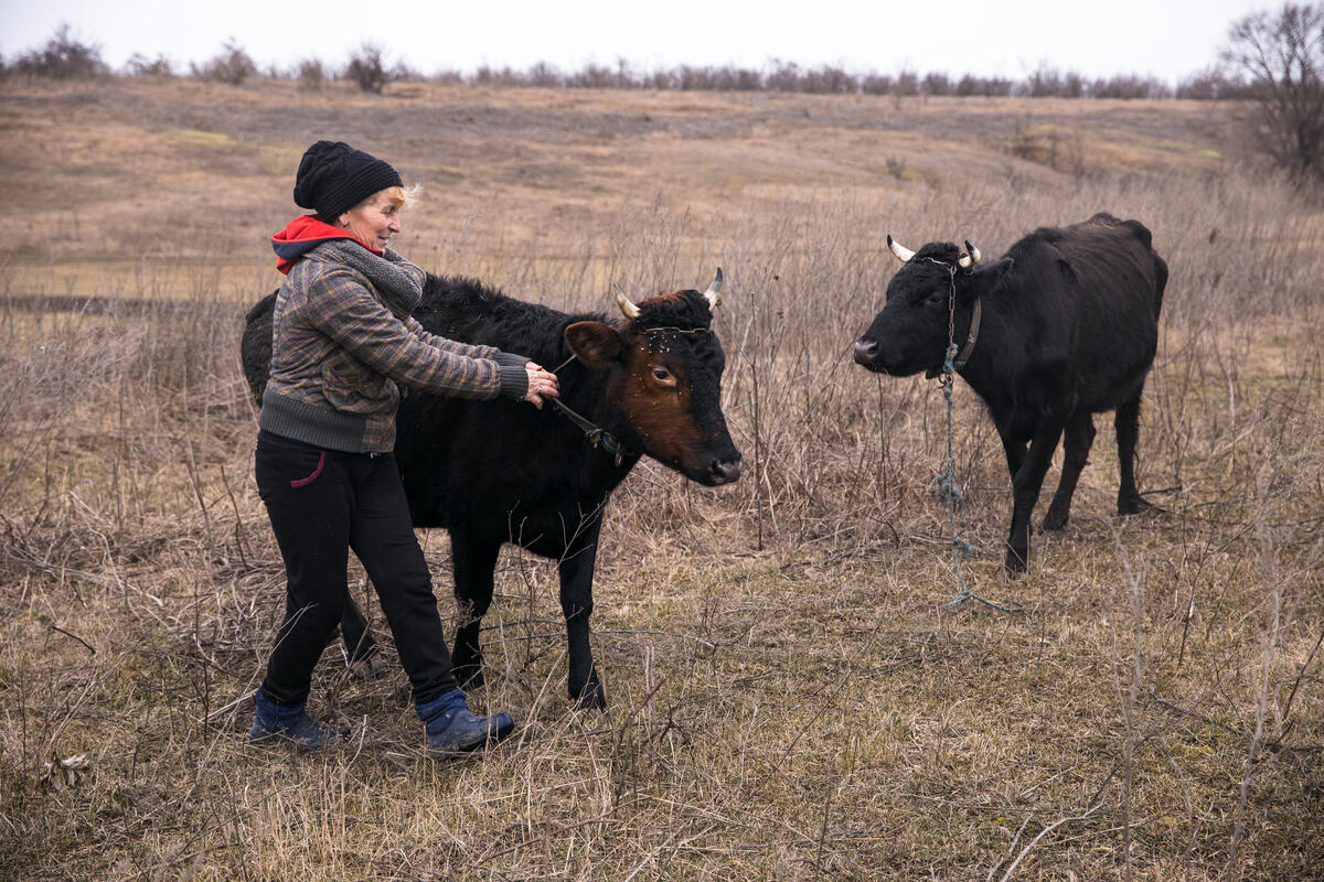 FAO announces $150m Emergency Response Plan for Ukraine’s Rural Areas ...