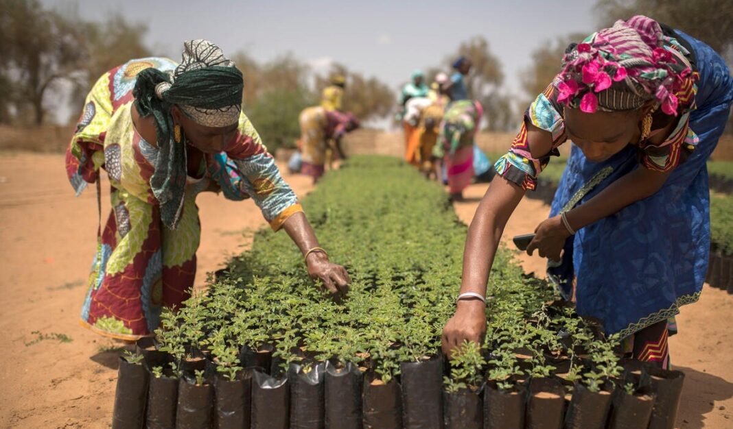 Green Climate Fund approves landmark $300M for FAO-Led Climate ...