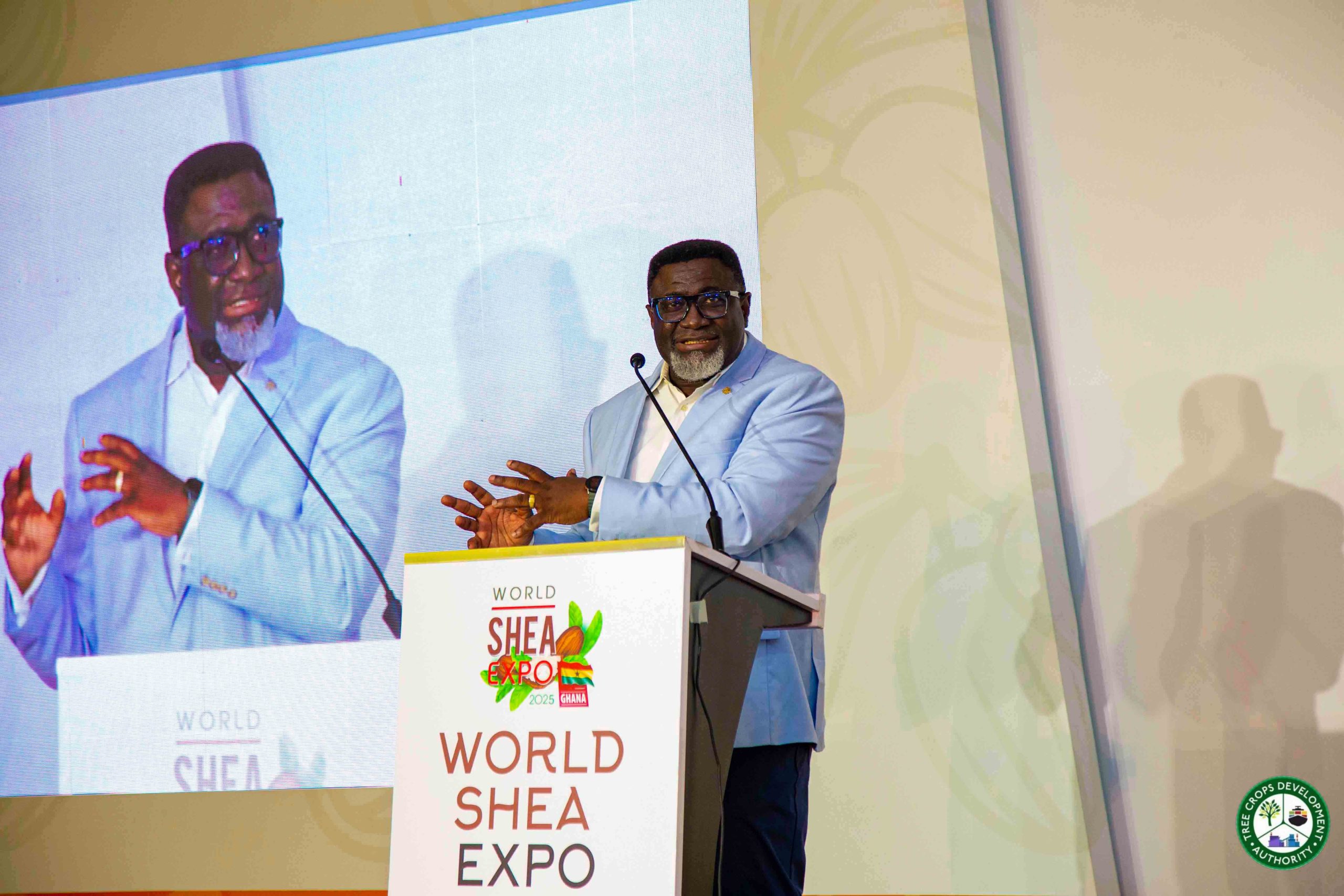 Tree Crops Development Authority pushes for sustainable shea industry ...